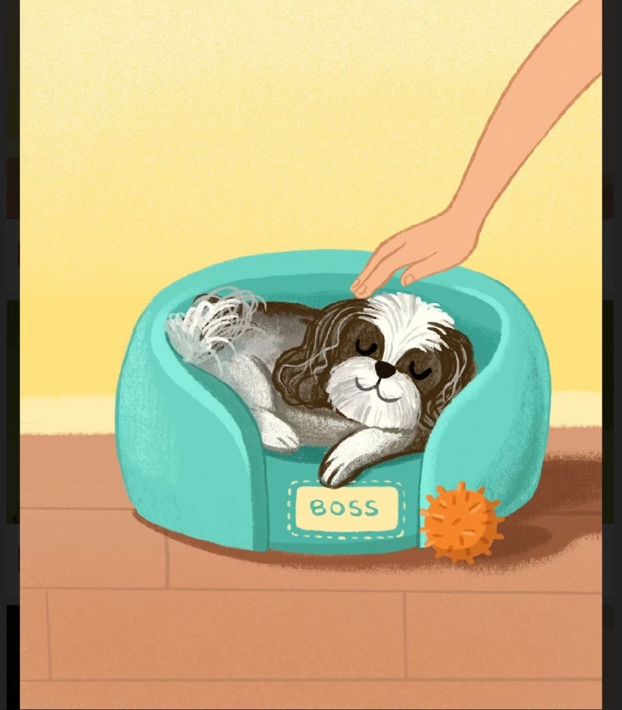 The Fun Continues! – Boss Bandit Books