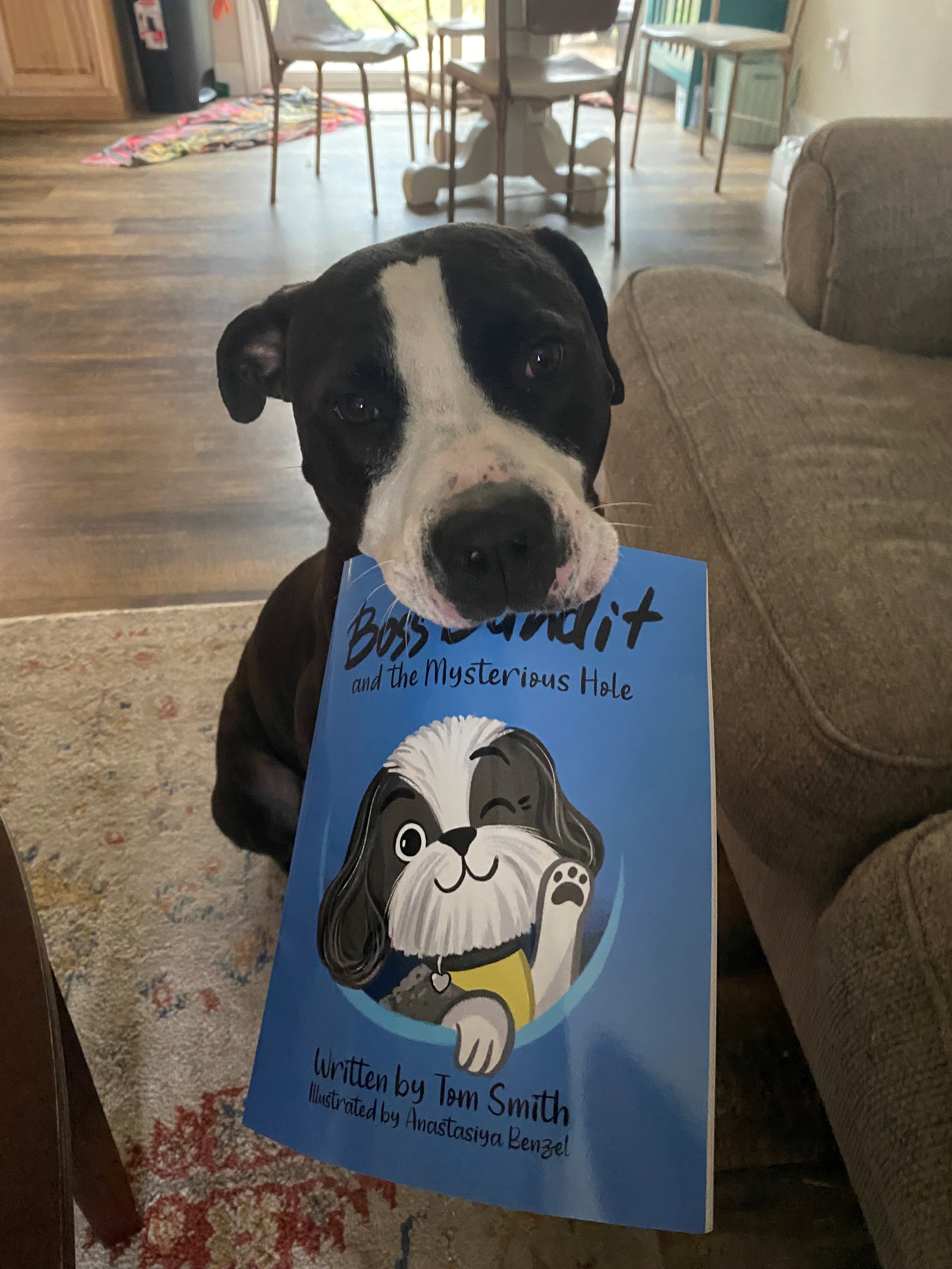 Boss Bandit and Friends – Boss Bandit Books